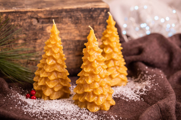 All-Natural Beeswax Evergreen Tree Candles: Medium 4.75" - Holaday & Co.